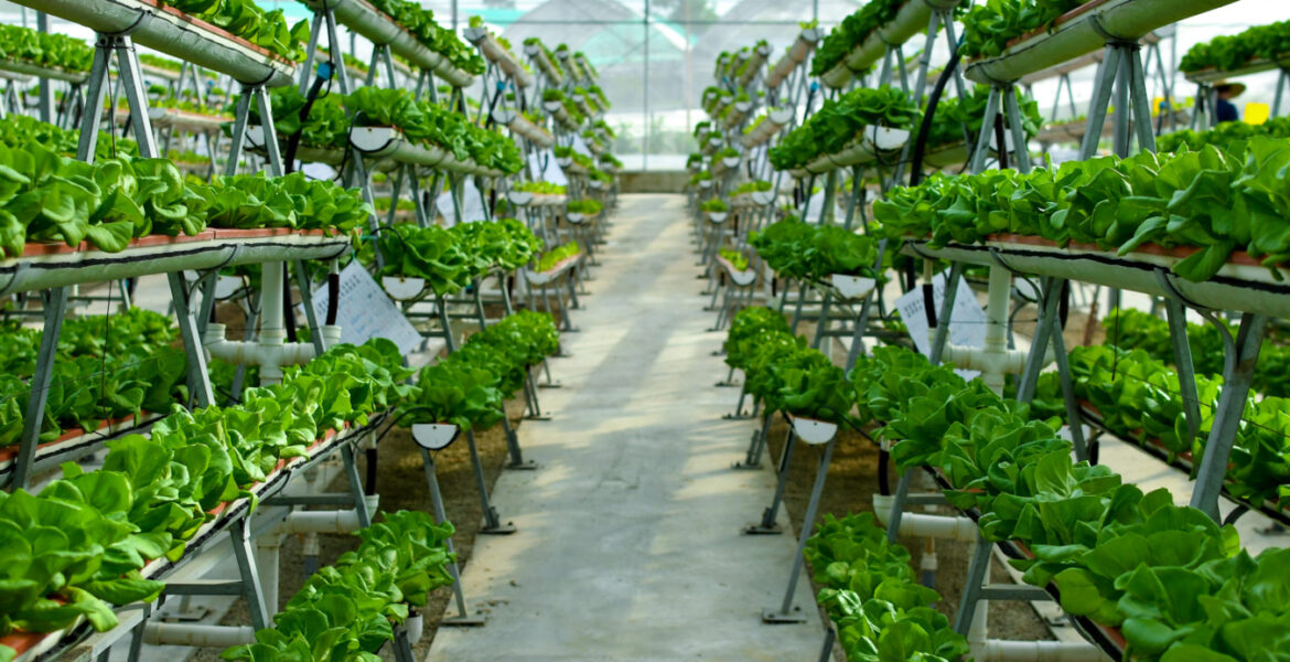 La agricultura vertical y su defecto fatal